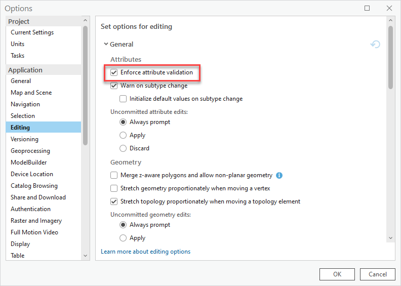 Create Nil geometry using editing tools - Esri Community