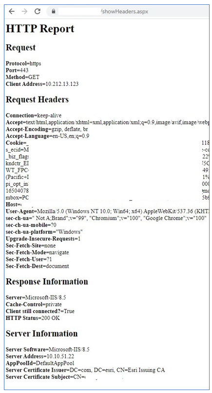 Using F5’s BIG-IP to provide access to a “Base Dep... - Esri Community