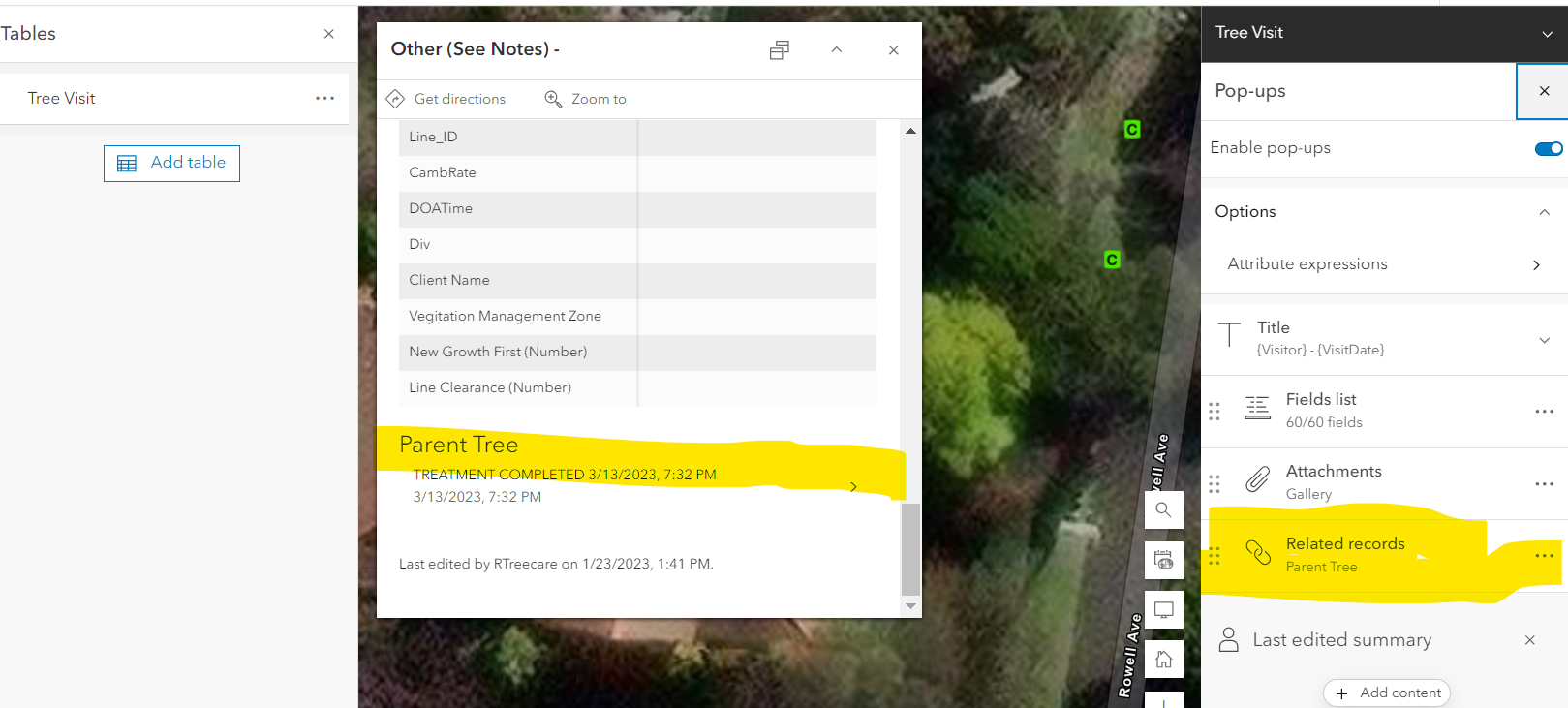 View parent feature of table record in Map viewer - Esri Community