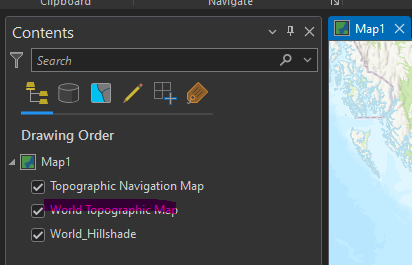 Using Custom Basemap adds additional Basemap by de... - Esri Community