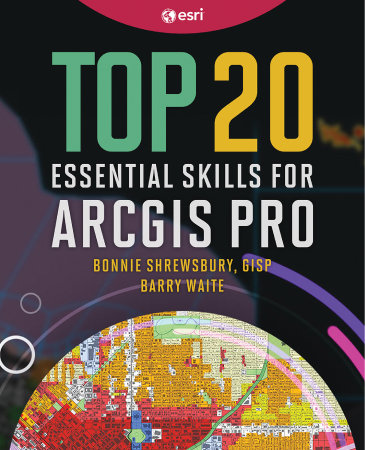 Top 20 Essential Skills for ArcGIS Pro - Esri Community