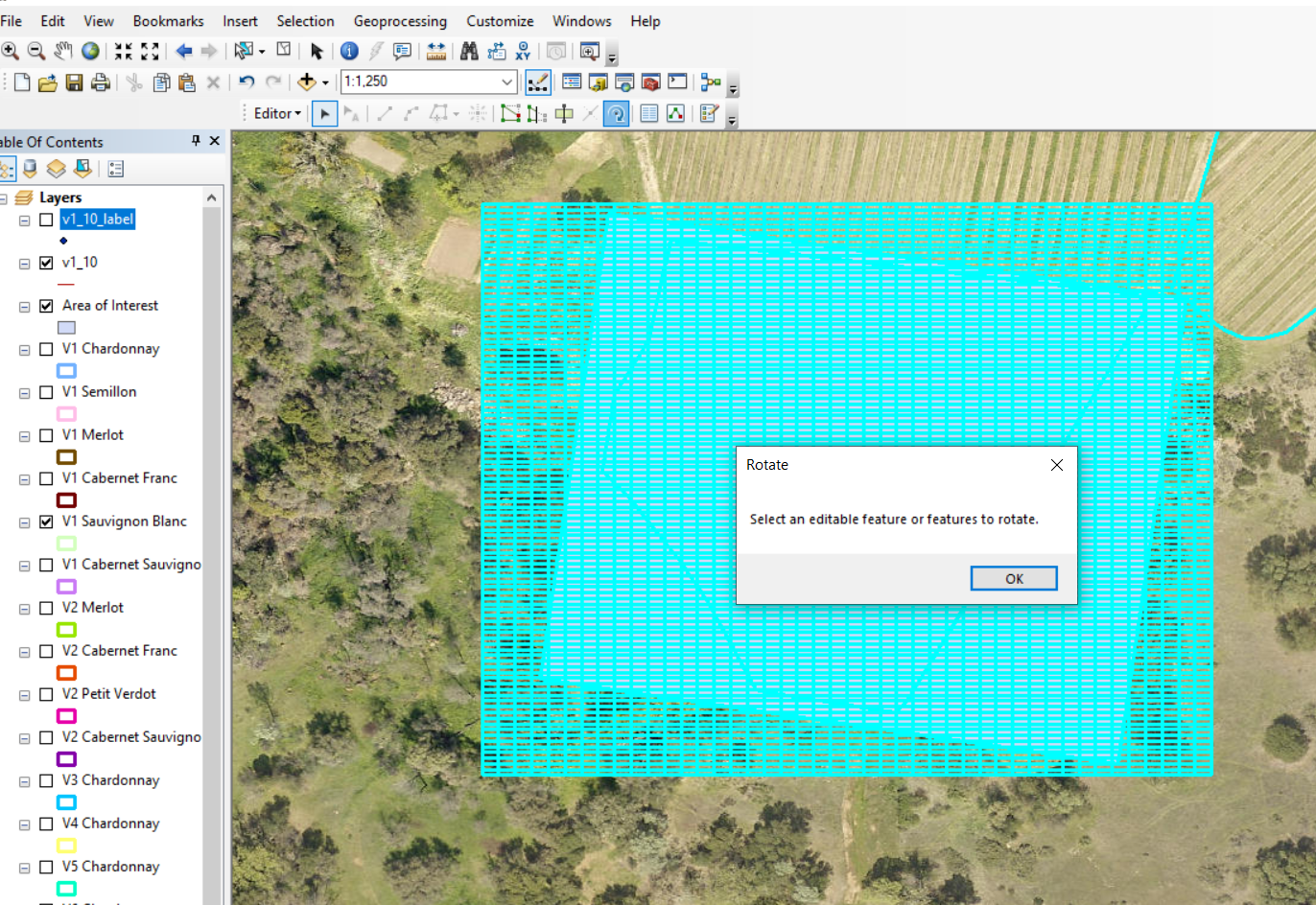 Creating a rotated fishnet for agricultural purpos... - Esri Community