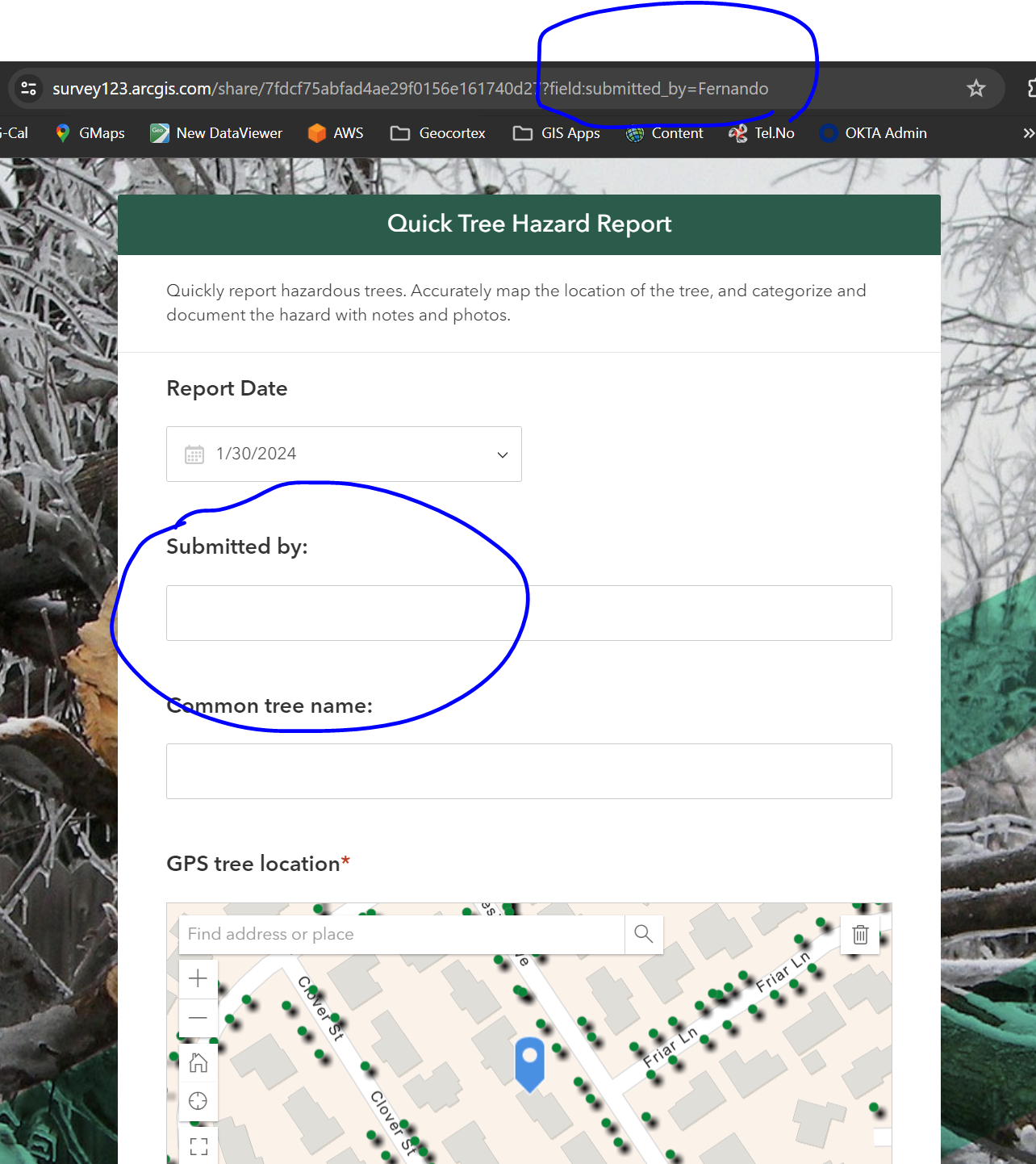 Survey123 Tricks of the Trade: Web form URL parame... - Esri Community