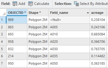create point from attributes to a polygon - Esri Community