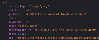 How do you enable exifInfo on attachments? - Esri Community
