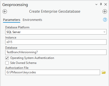 Solved: Cannot figure out how to do branch versionning - Esri Community