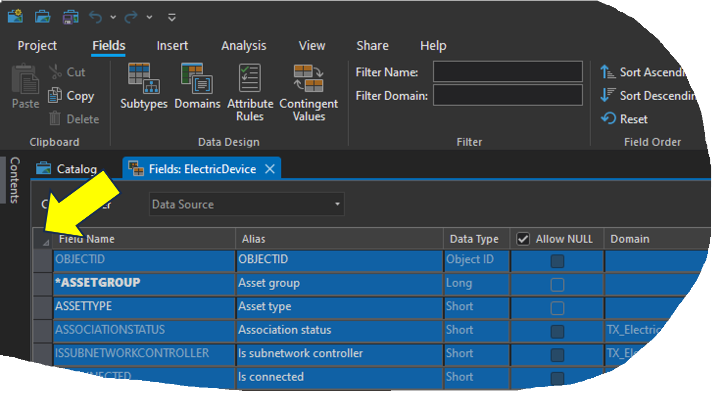 Print ArcGIS Pro Fields View - Esri Community