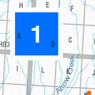 My annotations are displaying underneath other lab... - Esri Community