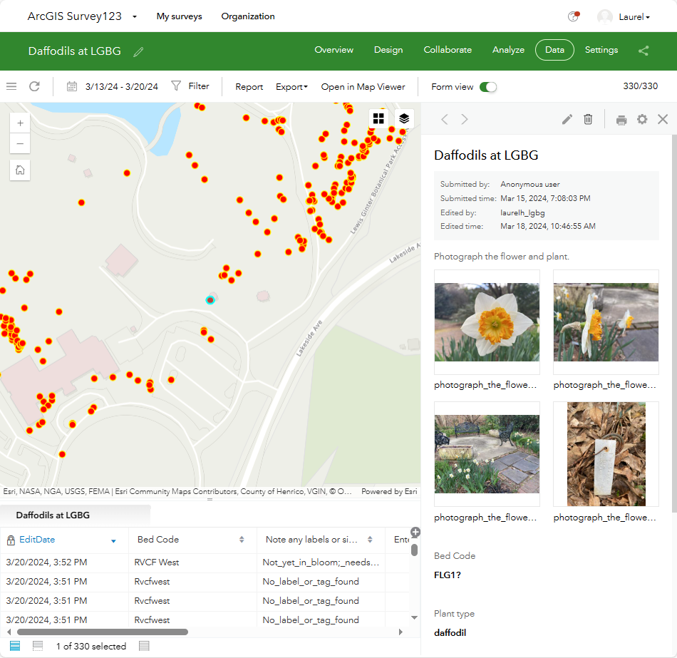 Springing into daffodil data collection - Esri Community